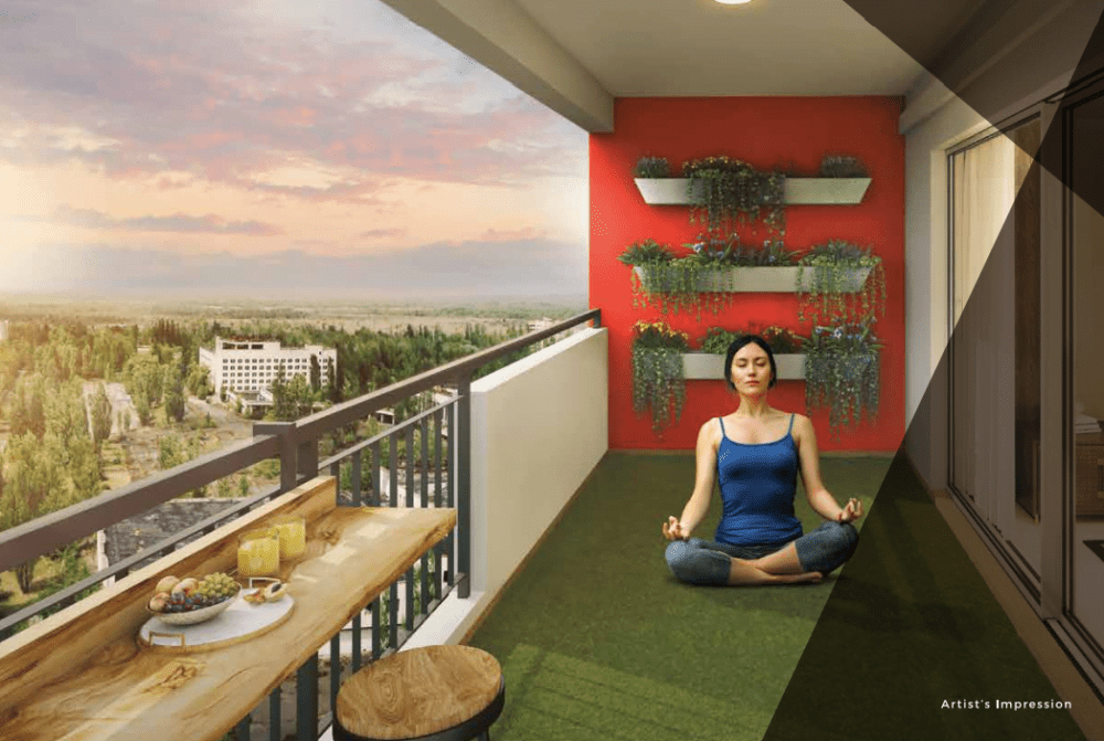 The Arbour DLF Luxury Flats Sector 63 Gurgaon - Opulnz Abode